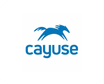 Quad Partners | Cayuse